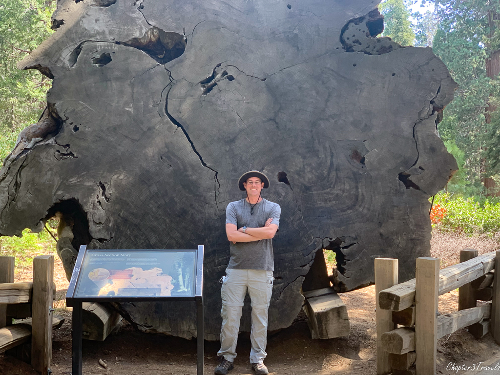 Yosemite & Sequoia National Parks: Big Rocks, Fast Rapids, and Enormous ...